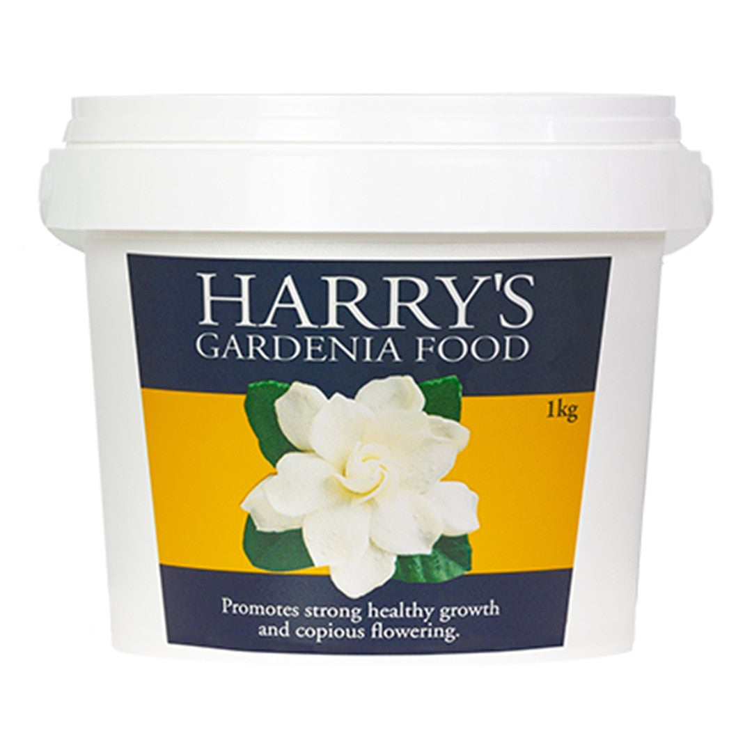HARRYS GARDENIA FOOD – Honeysuckle Garden